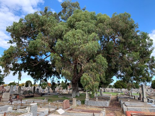 31/CTR/2020 - Brighton Cemetery 1 | Glen Eira City Council