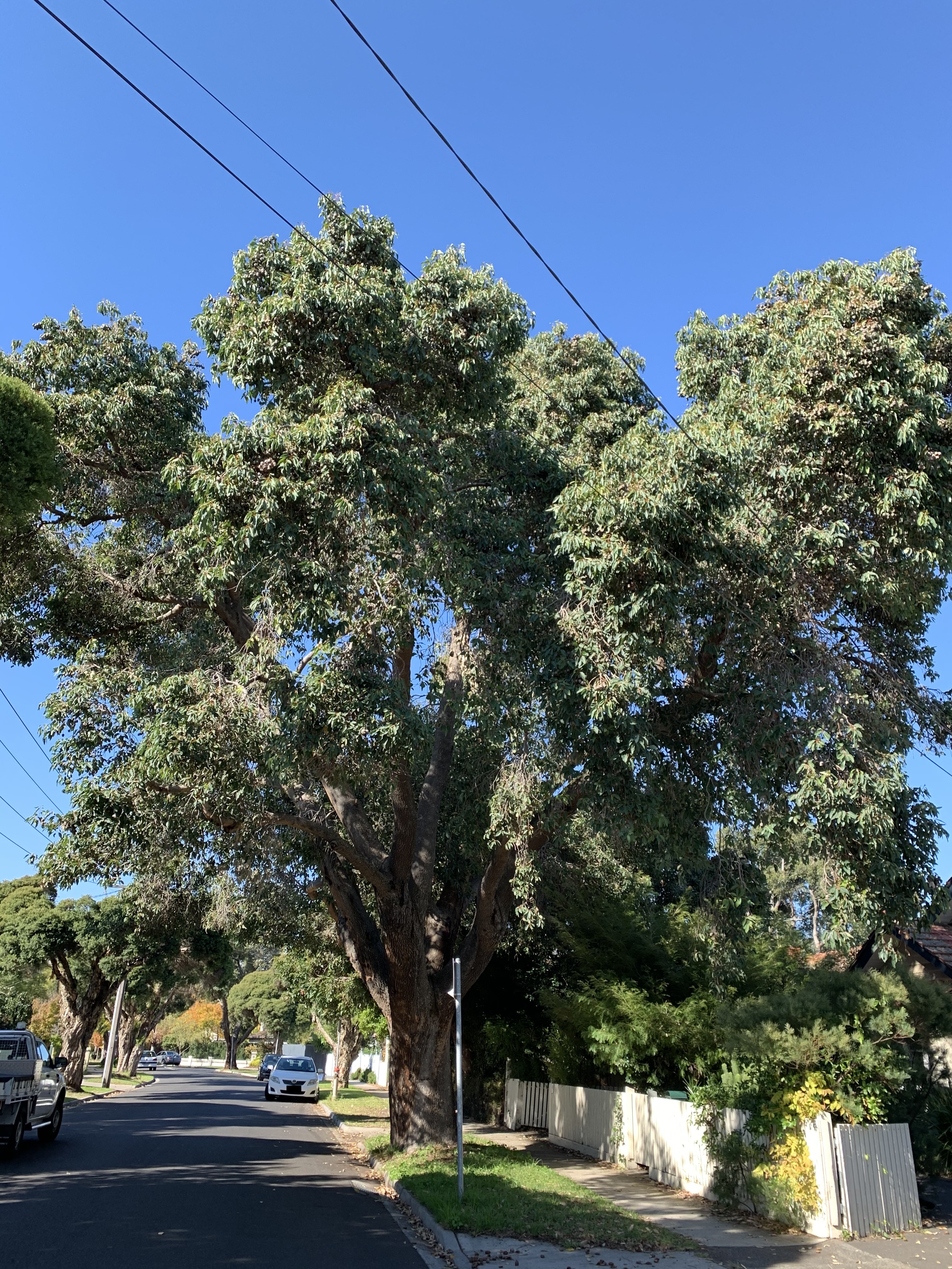 20/CTR/2020 - Denver Crescent | Glen Eira City Council
