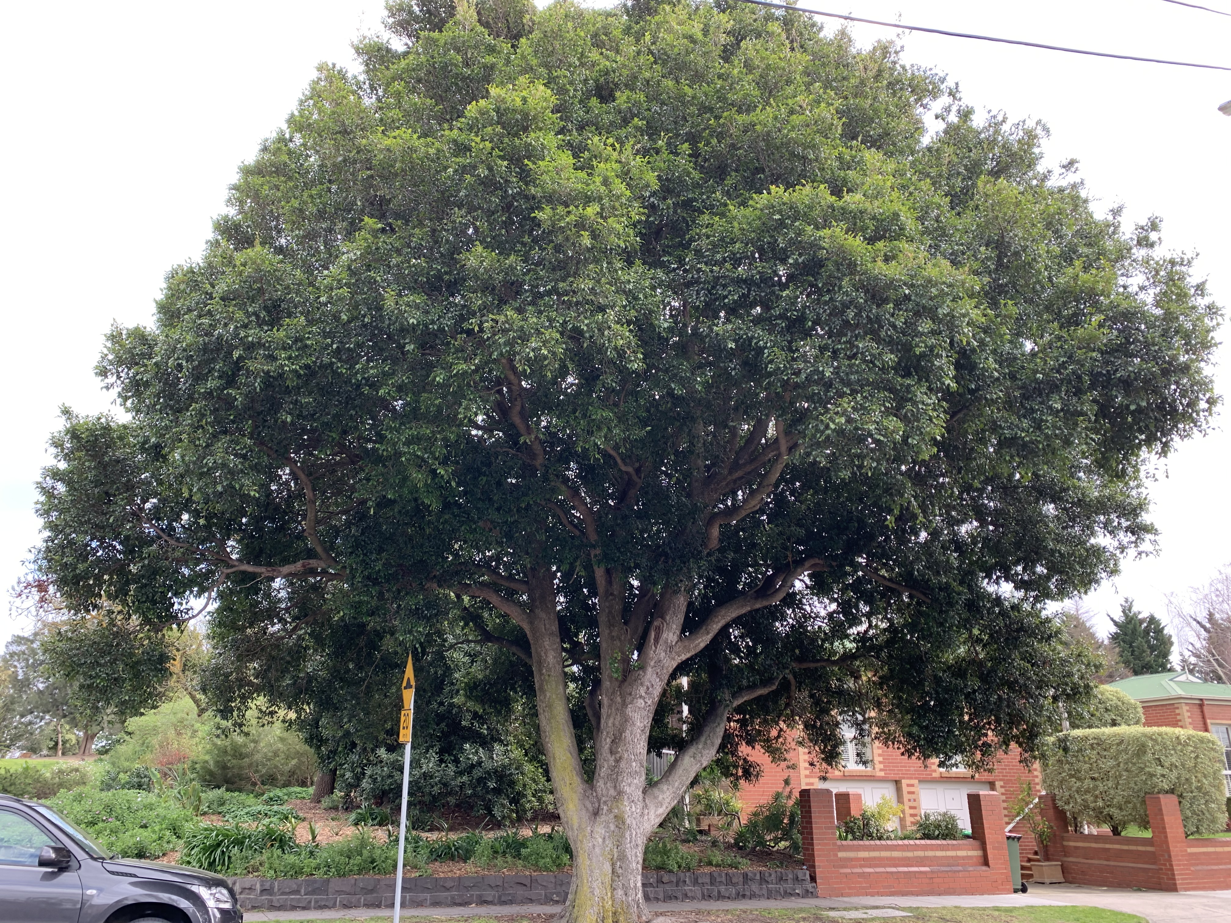 227/CTR/2021 - Allnutt Park | Glen Eira City Council