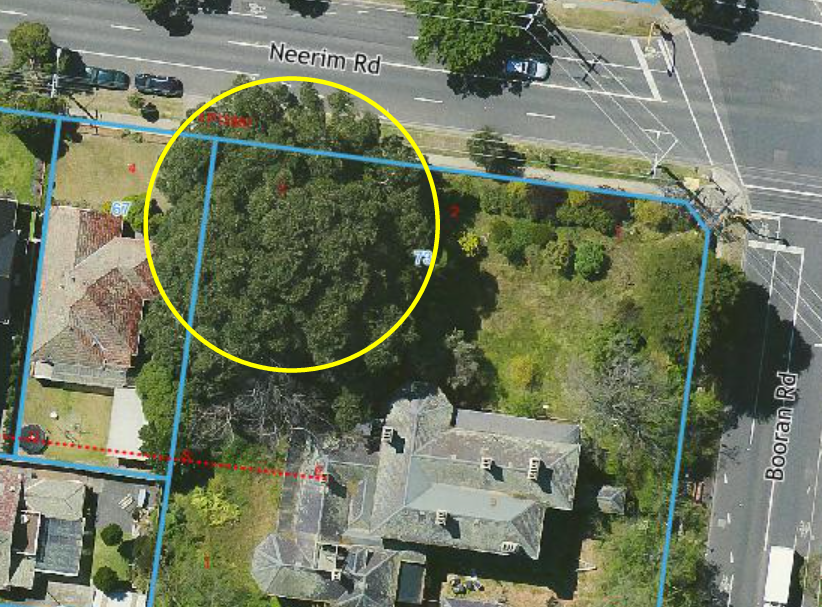 17/CTR/2020 - Neerim Road | Glen Eira City Council
