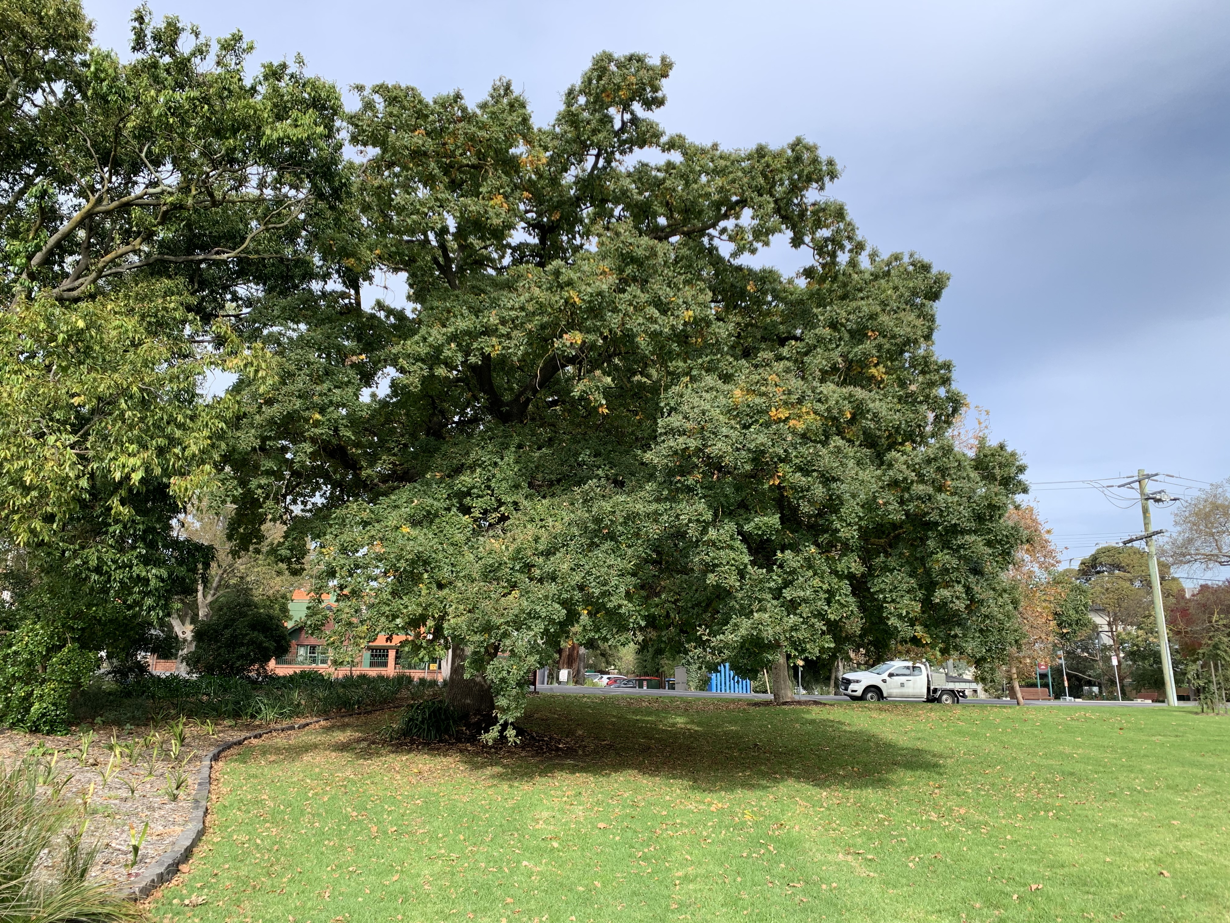 184/CTR/2021 - Springthorpe Gardens | Glen Eira City Council