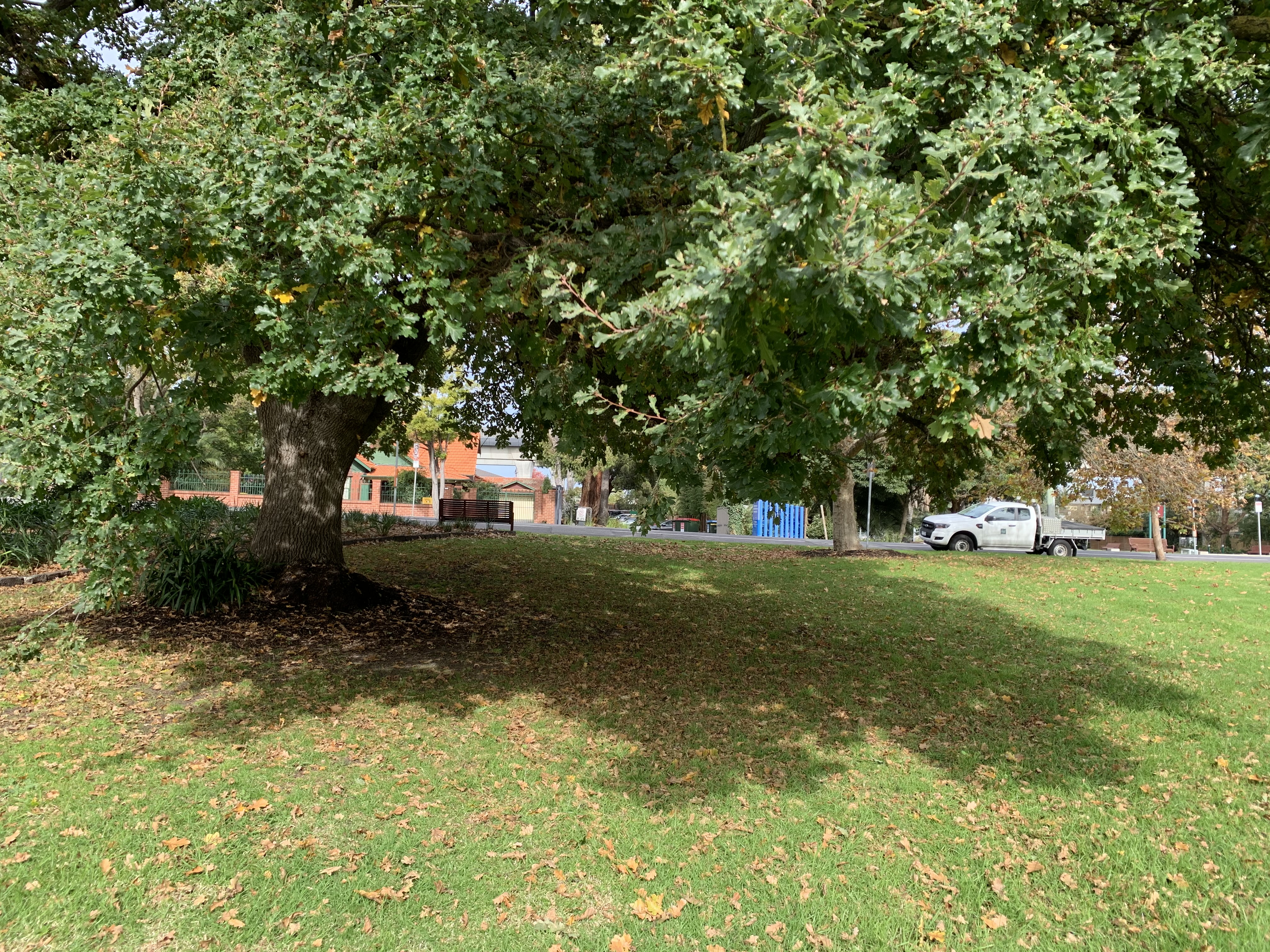 184/CTR/2021 - Springthorpe Gardens | Glen Eira City Council