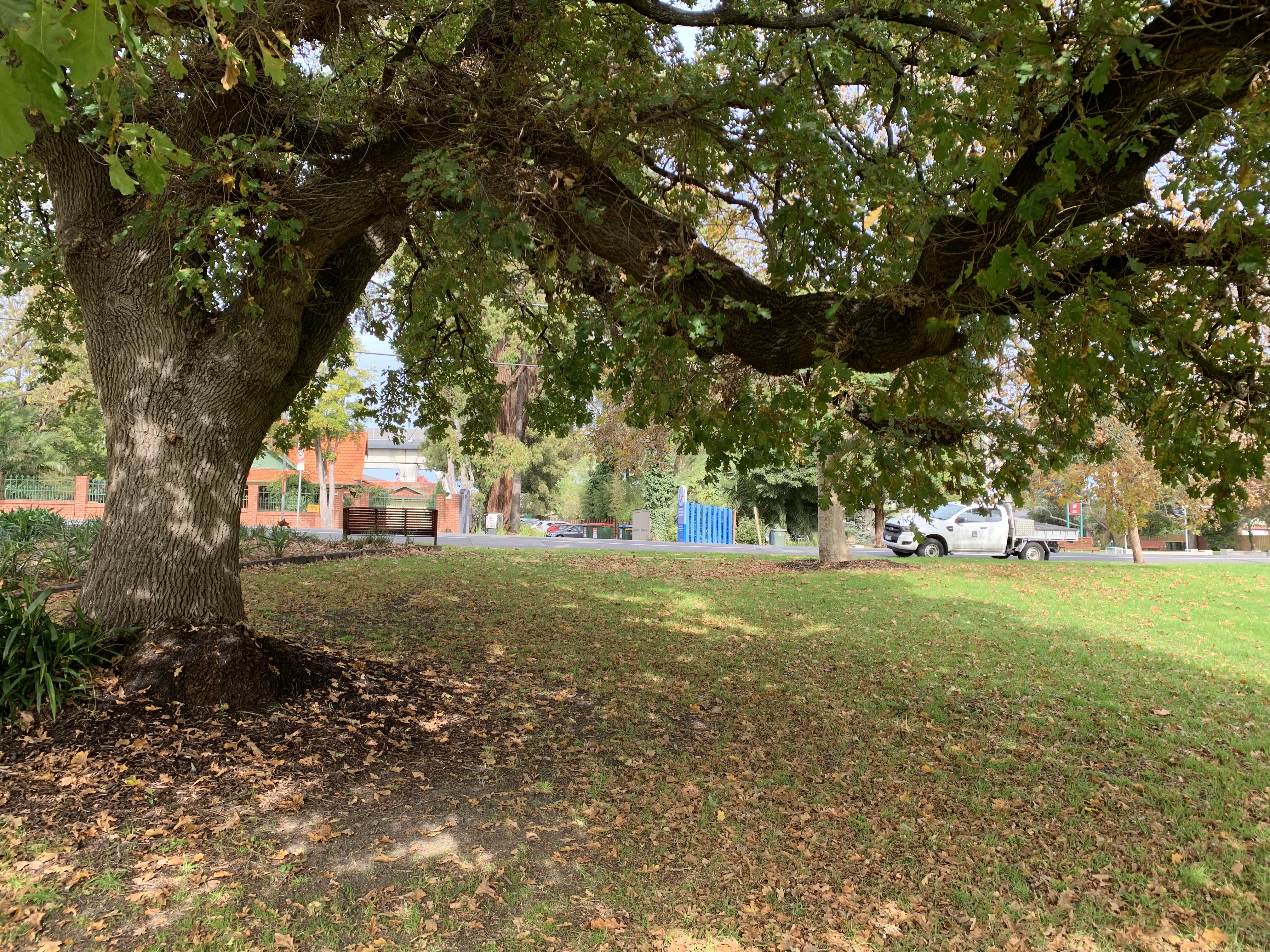 184/CTR/2021 - Springthorpe Gardens | Glen Eira City Council