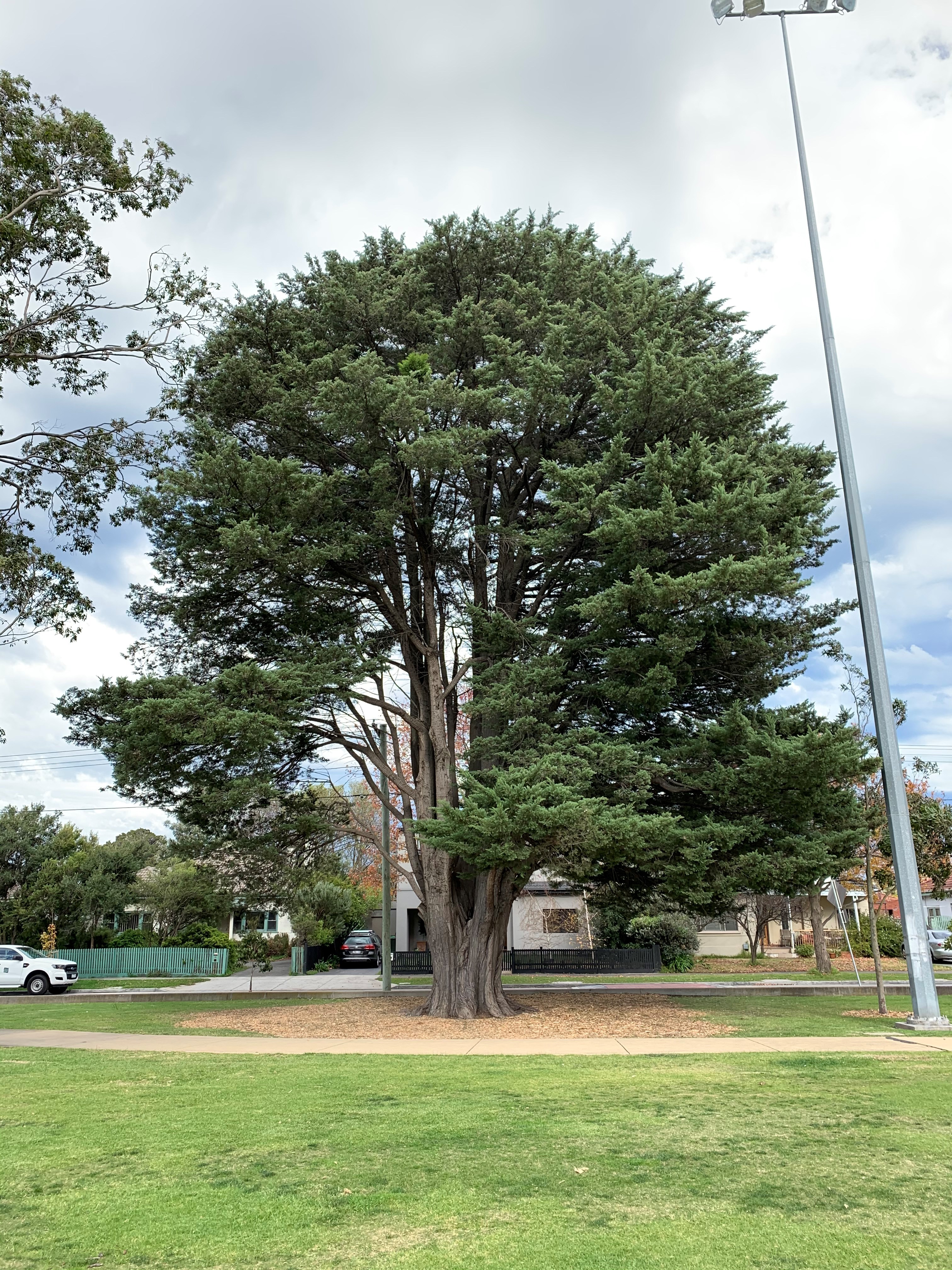 143/CTR/2021 - Lord Reserve | Glen Eira City Council