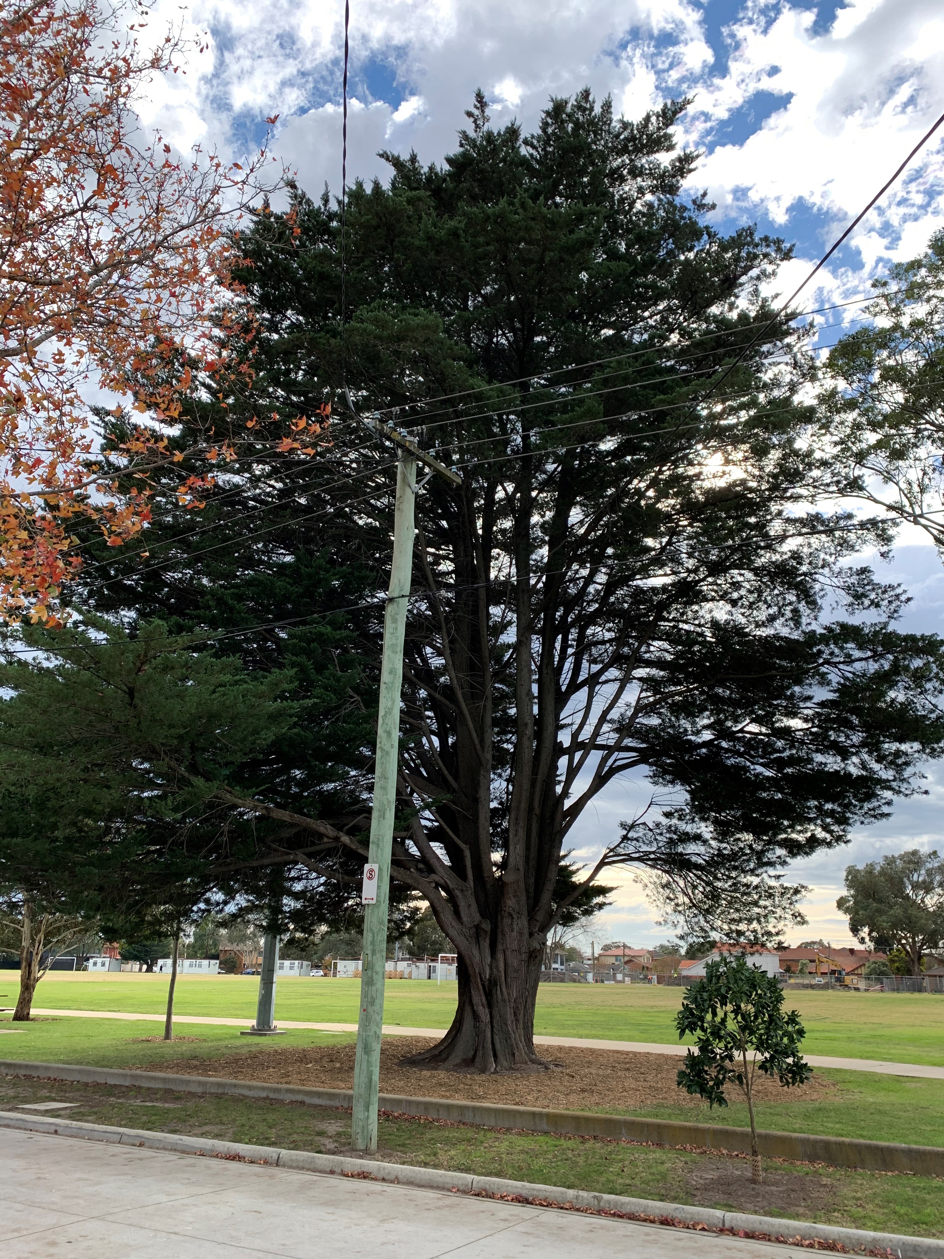 143/CTR/2021 - Lord Reserve | Glen Eira City Council