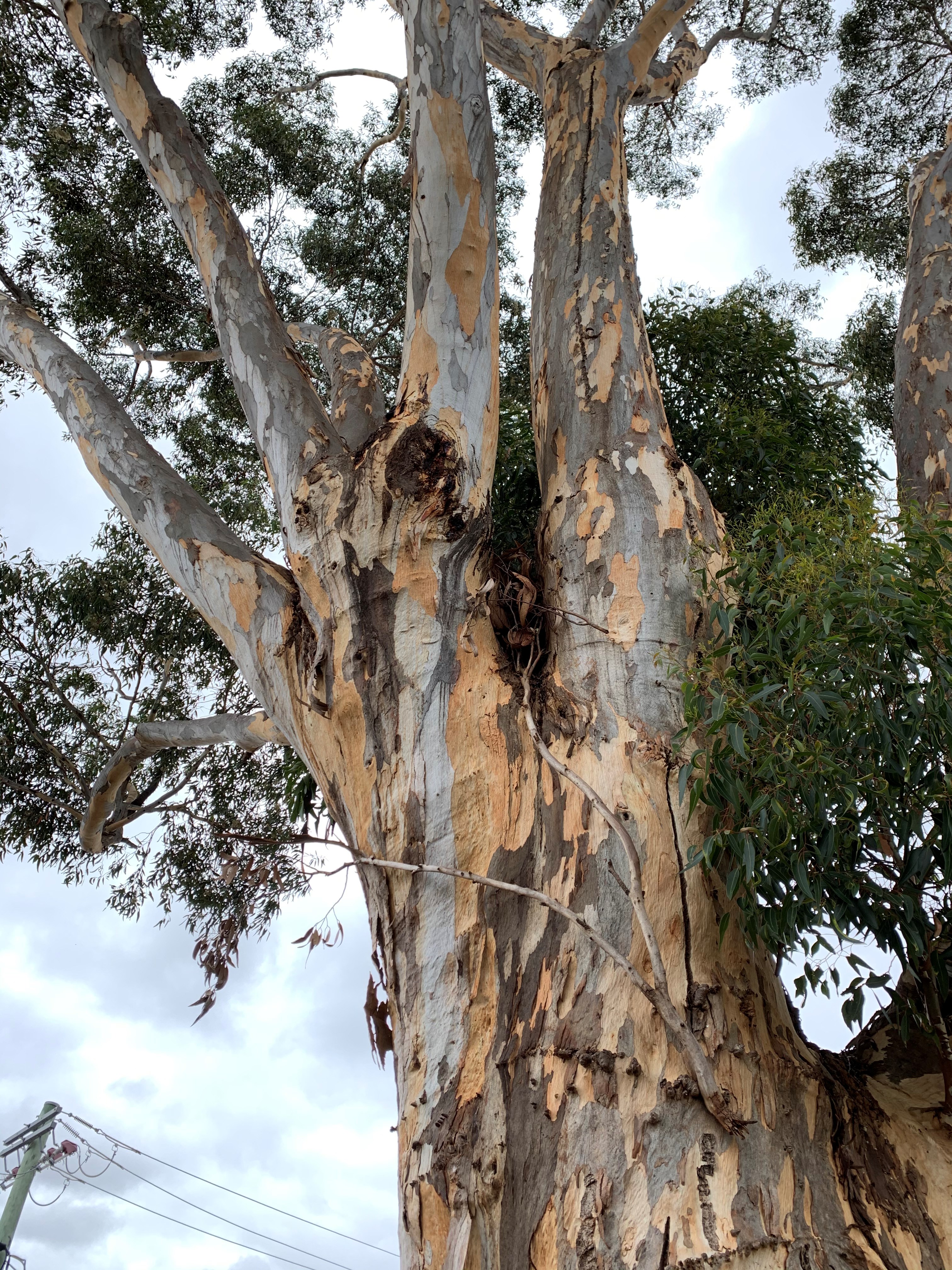 32/CTR/2020 - Glenhuntly Road | Glen Eira City Council