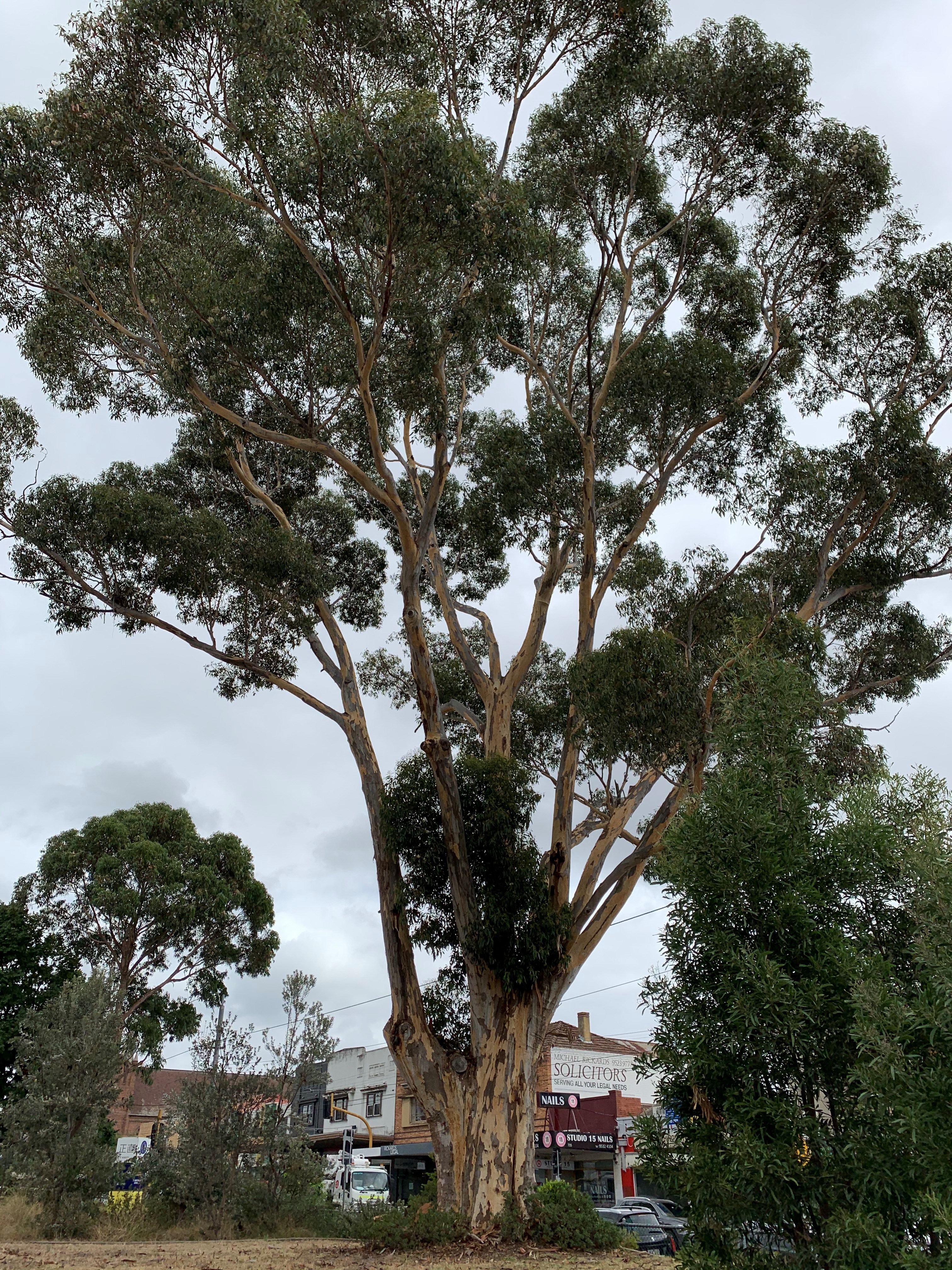 32/CTR/2020 - Glenhuntly Road | Glen Eira City Council