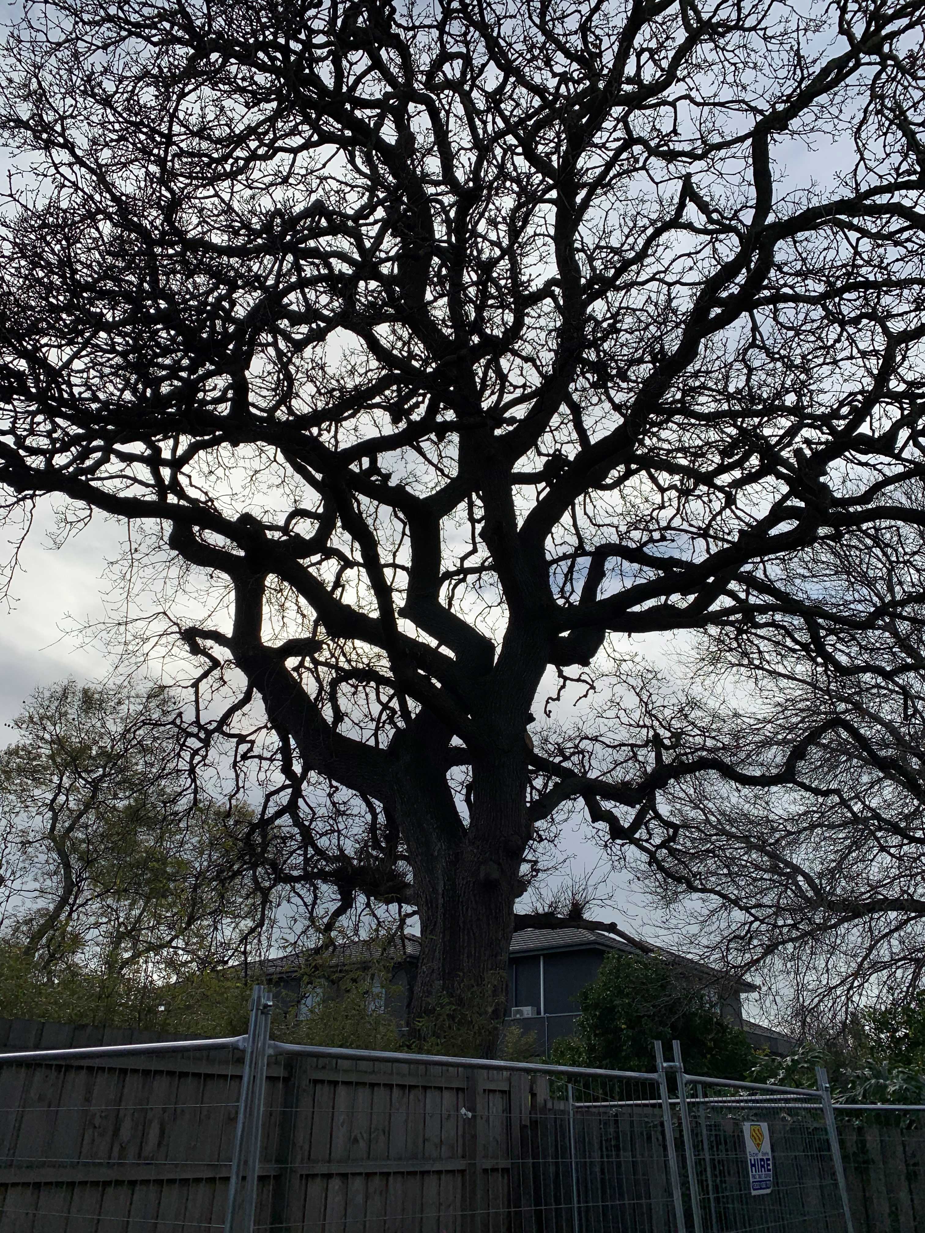 68/CTR/2020 - Raynes Street | Glen Eira City Council