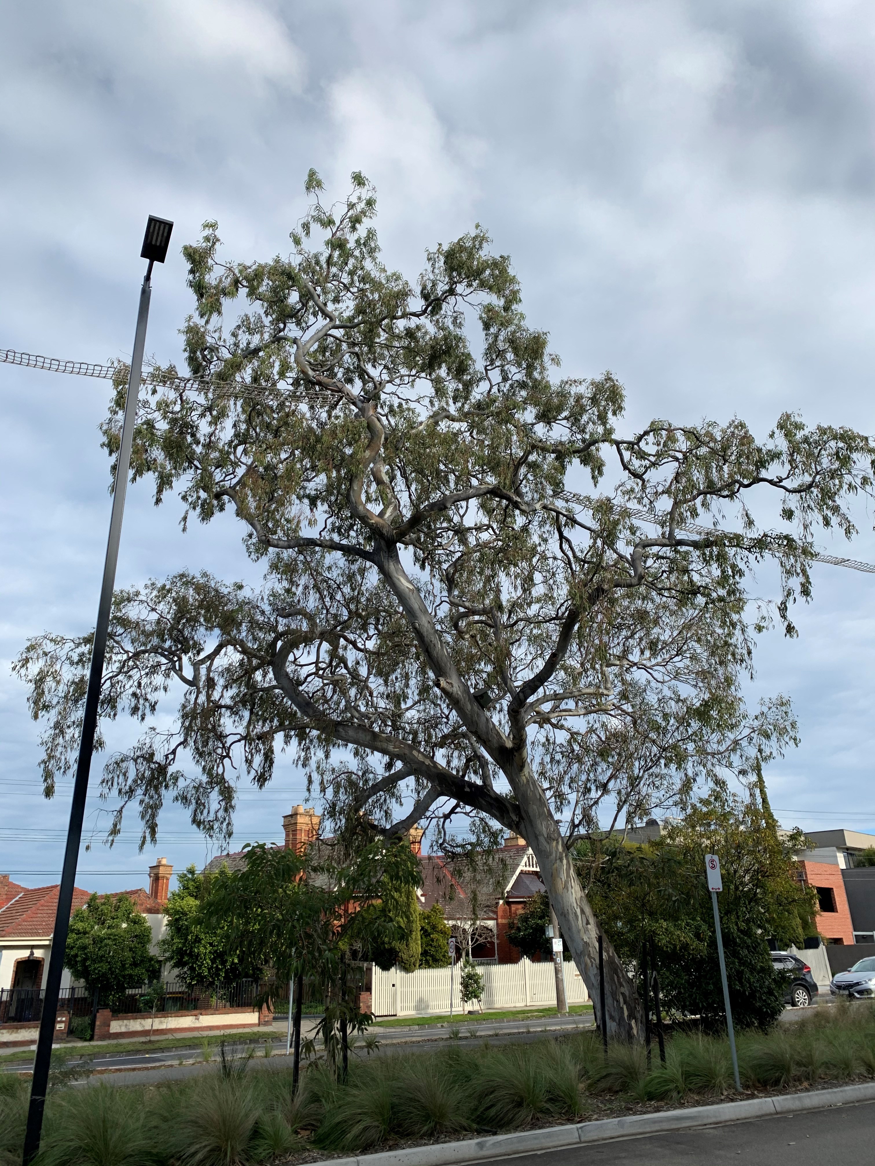 42/CTR/2020 - Murrumbeena Station | Glen Eira City Council