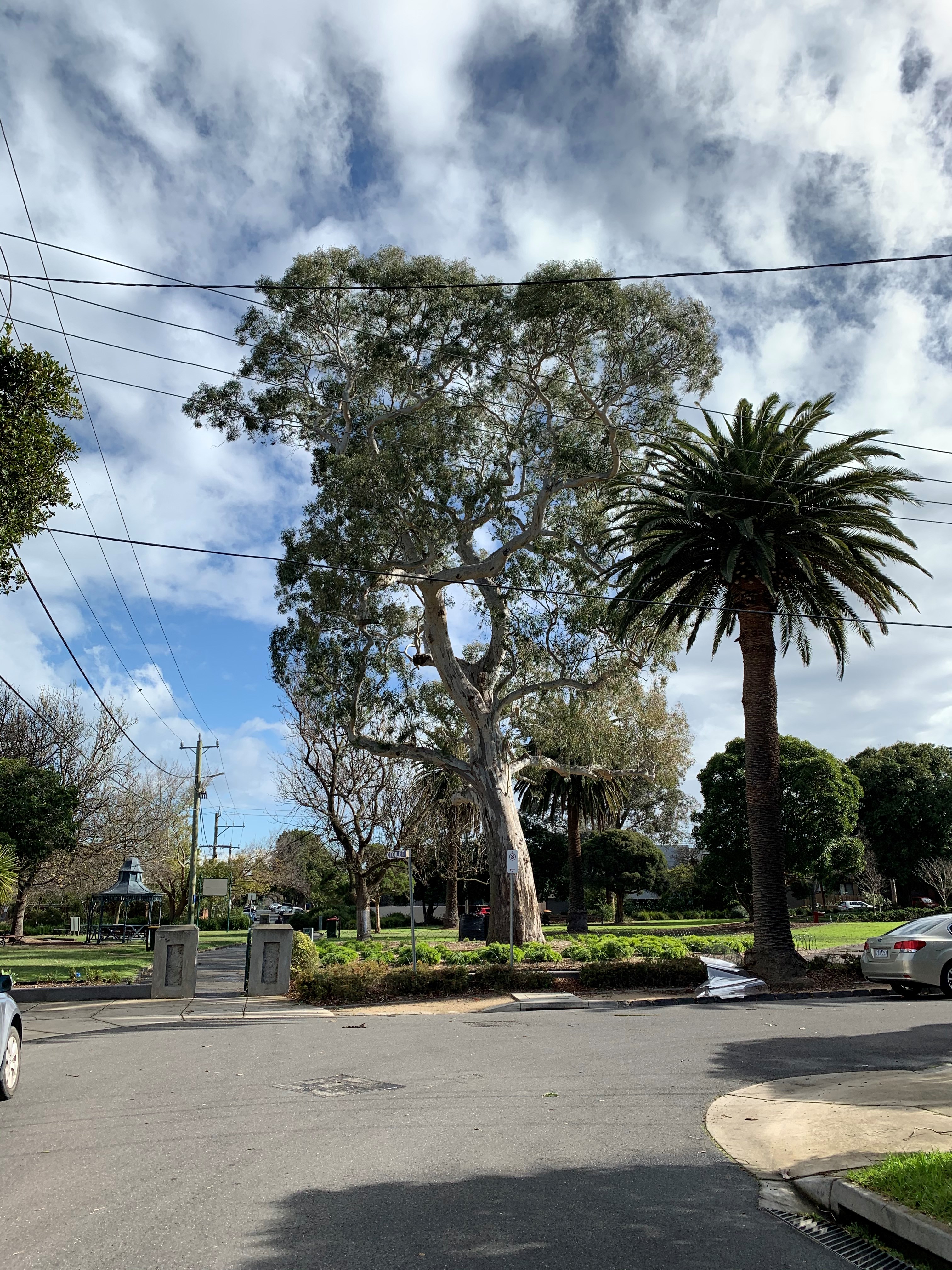86/CTR/2021 - Greenmeadows Garden | Glen Eira City Council