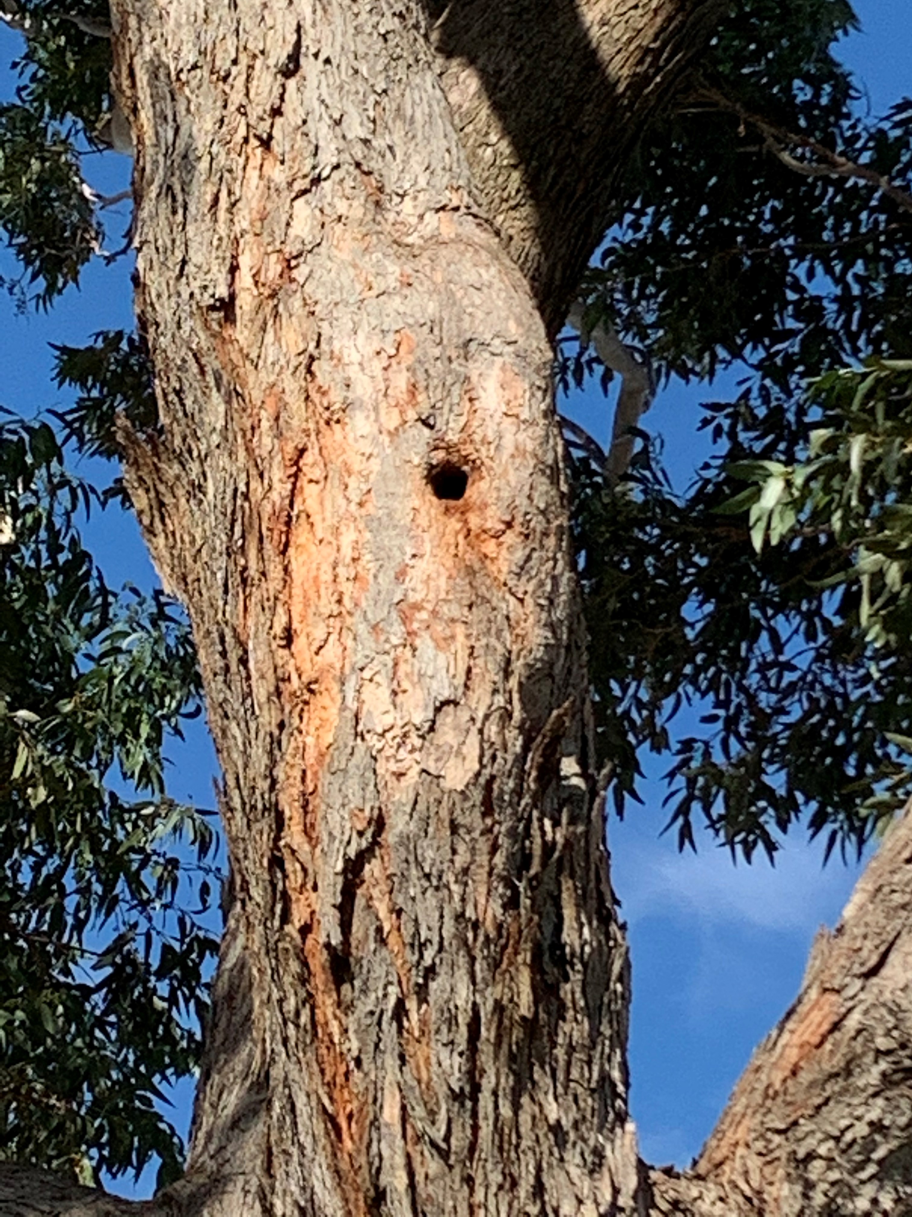 405/CTR/2022 - Lord Reserve | Glen Eira City Council