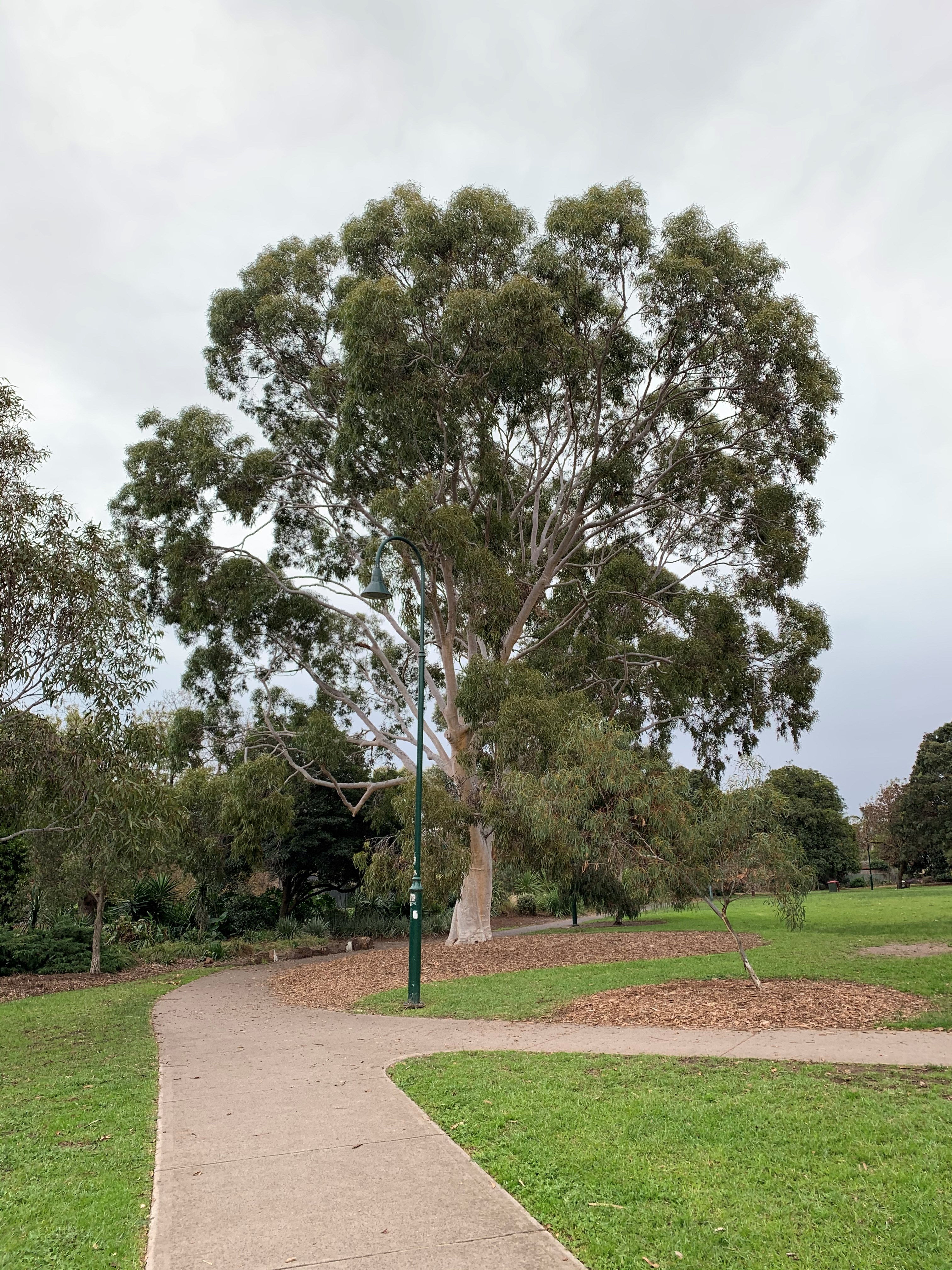 239/CTR/2021 - Allnut Park | Glen Eira City Council