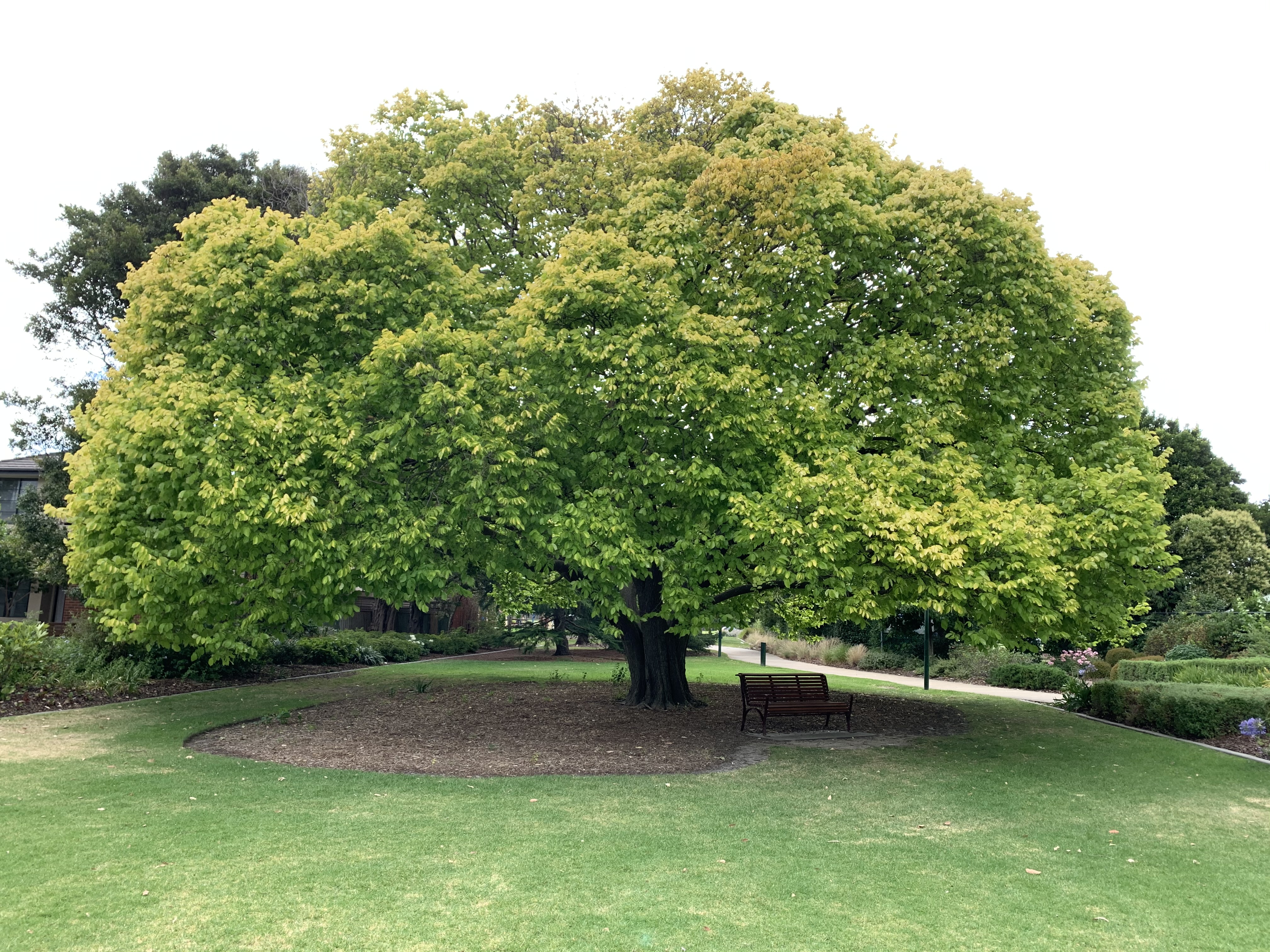 24/CTR/2020 - Joyce Park | Glen Eira City Council