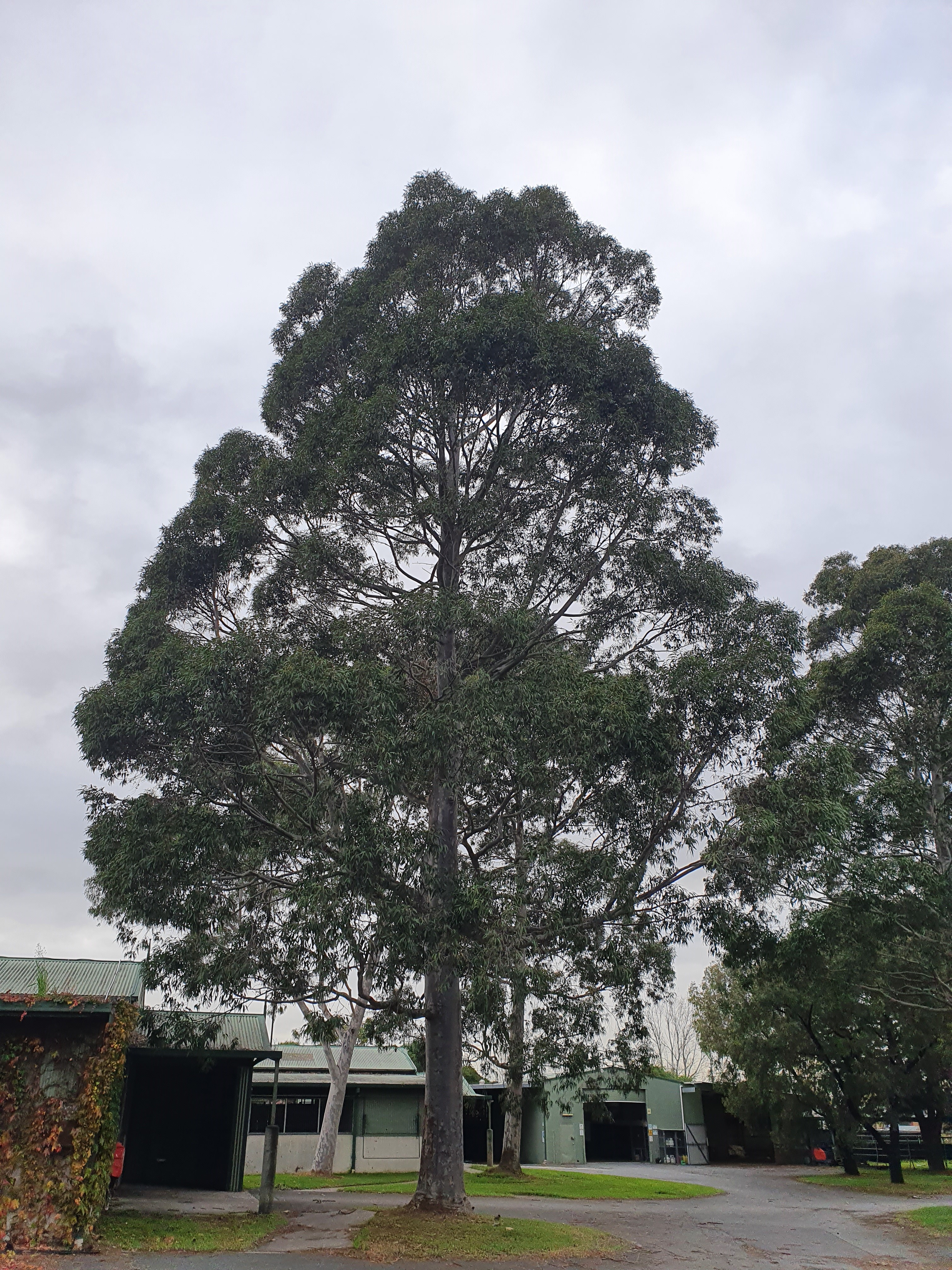 365/CTR/2022 - Caulfield Racecourse | Glen Eira City Council