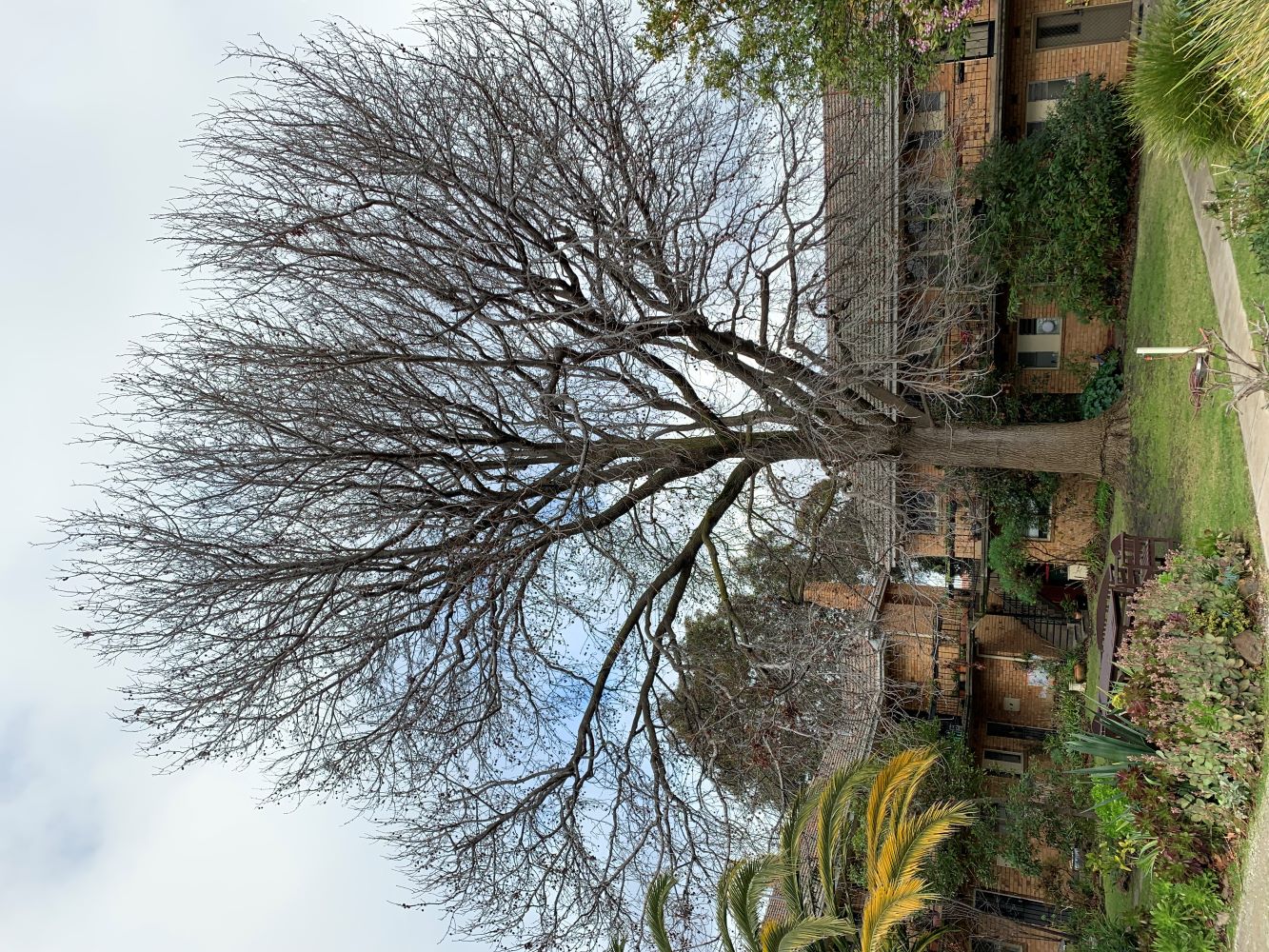 333/CTR/2021 Balaclava Road | Glen Eira City Council