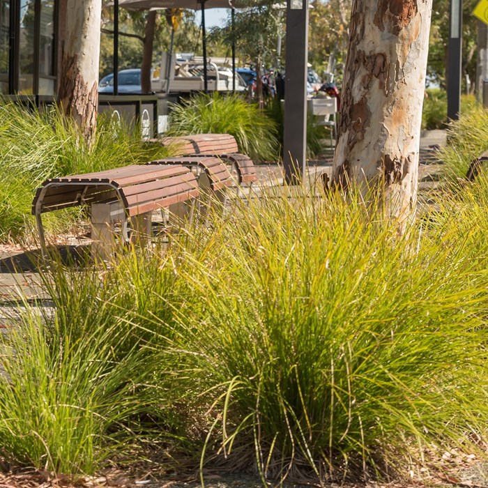 Better Streets Better Places | Glen Eira City Council