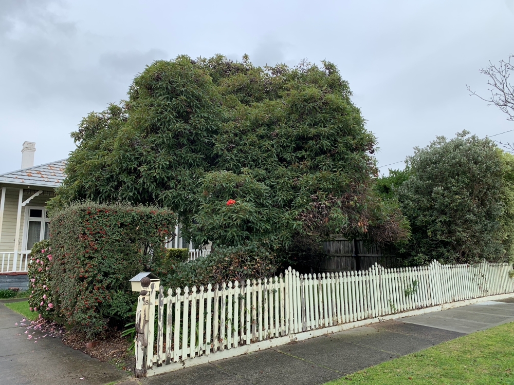 466/CTR/2022 Fallon Street | Glen Eira City Council